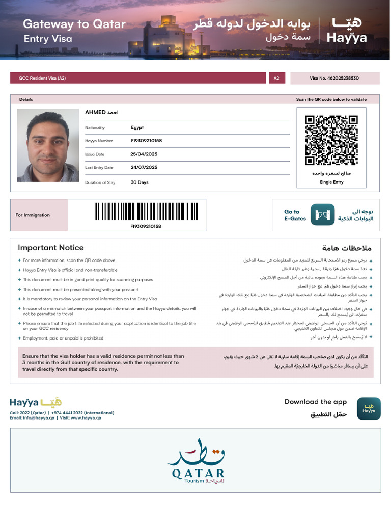 Entry Permit (٢ | PDF
