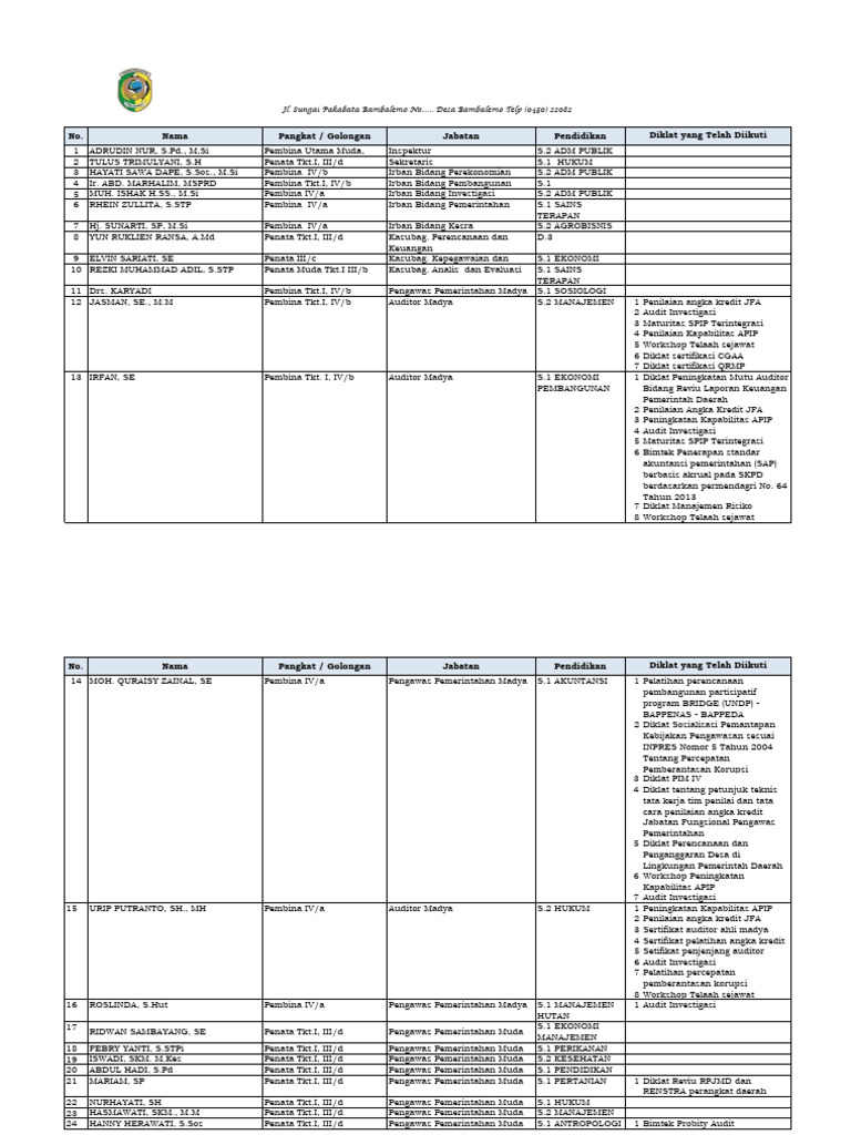 Profil Auditor dan Pelatihan APIP | PDF