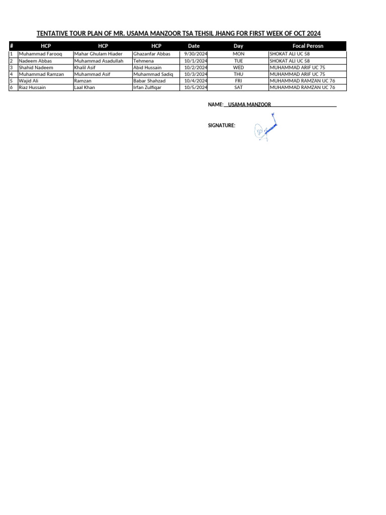 Weekly Work Plan Tsa Usama Manzoor | PDF
