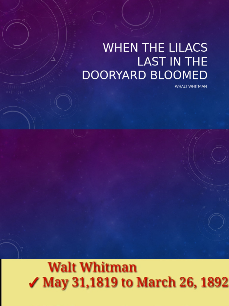 Lilac Last | PDF