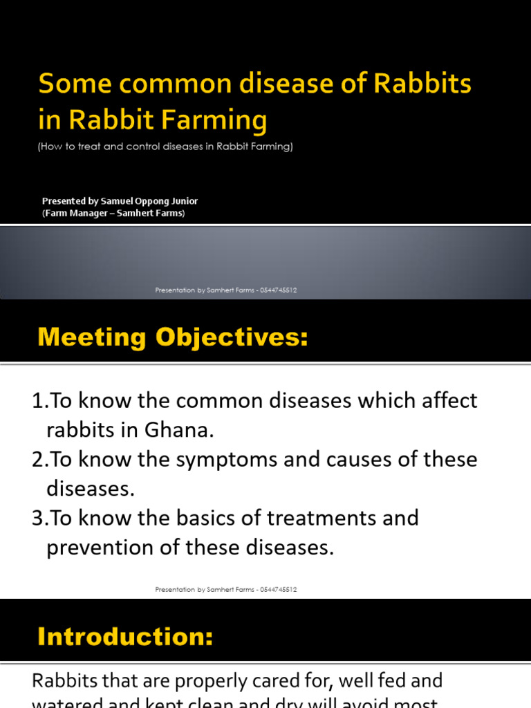Rabbit Diseases and Medication 2024 | PDF | Diarrhea | Clinical Medicine