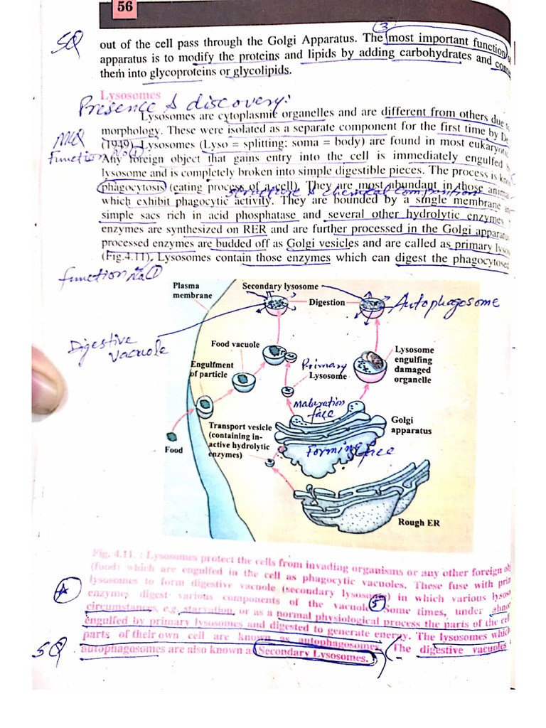 Biology PG No 56-64 | PDF