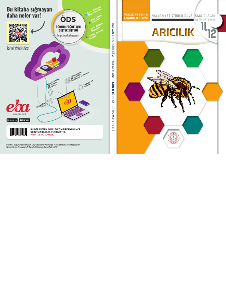 Hys 2024 Ari 111210 | PDF