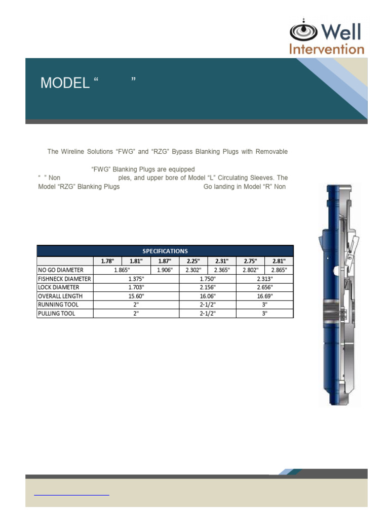 FWG By-Pass Blanking Plug Specifications | PDF