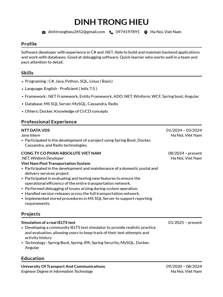 Dinh Trong Hieu CV | PDF