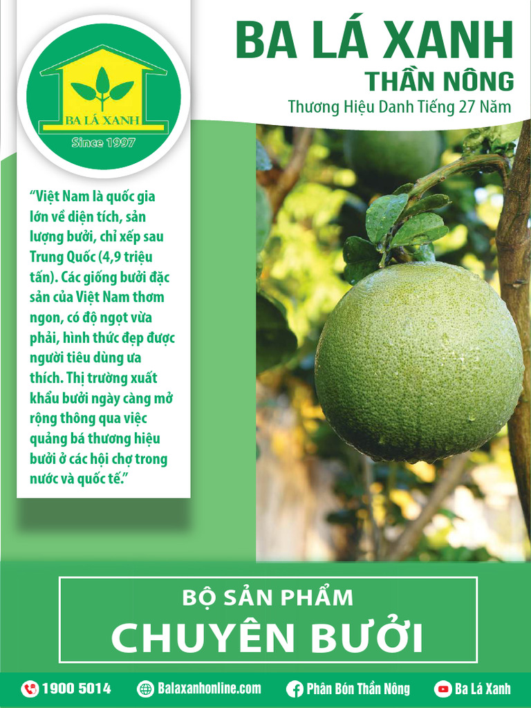 Bo SP Chuyen Buoi | PDF