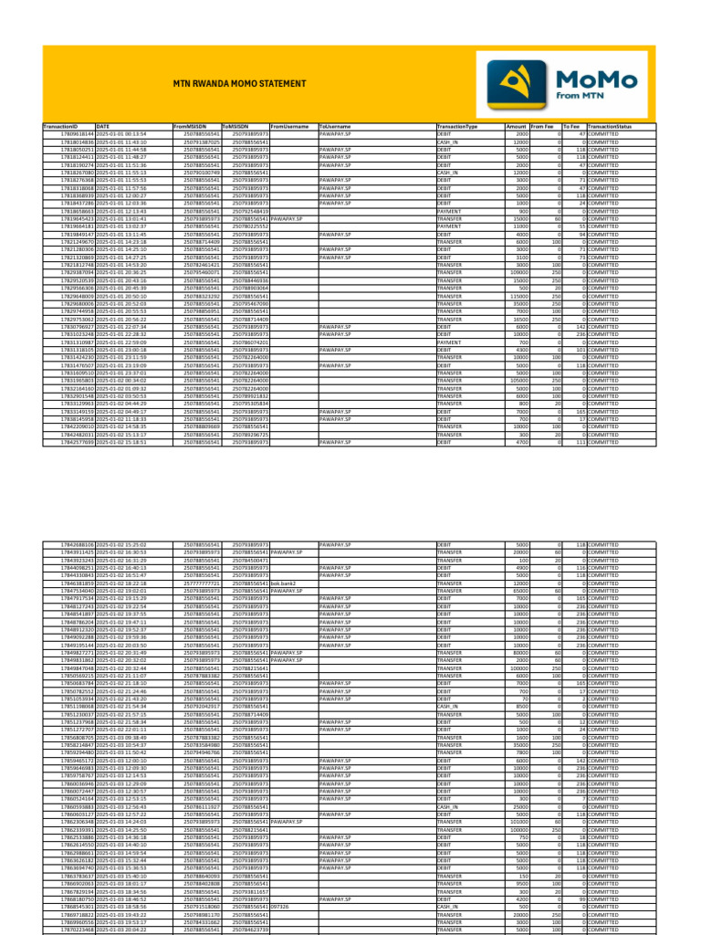 MTN Rwanda MoMo Transaction Log | PDF | Corporate Jargon | Personal Finance