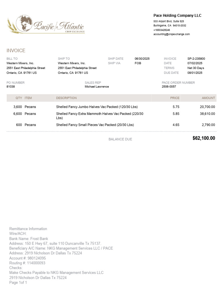 Remittance and Invoice Details for NKG | PDF