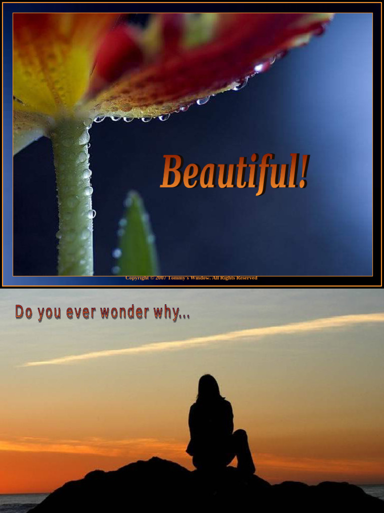 Beautiful | PDF