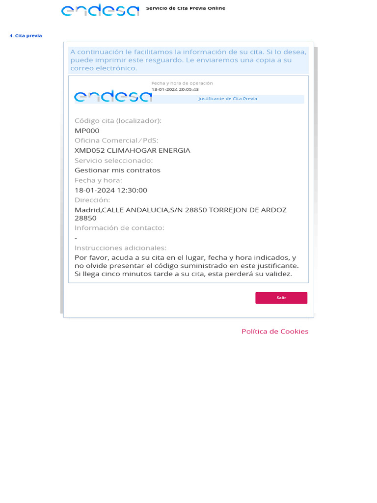 Servicio de Cita Previa Online - Endesa Clientes | PDF