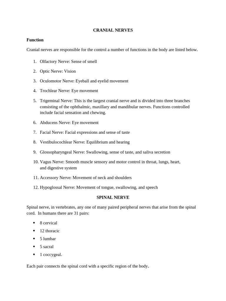 Cranial Nerves and Spinal Nerve | PDF