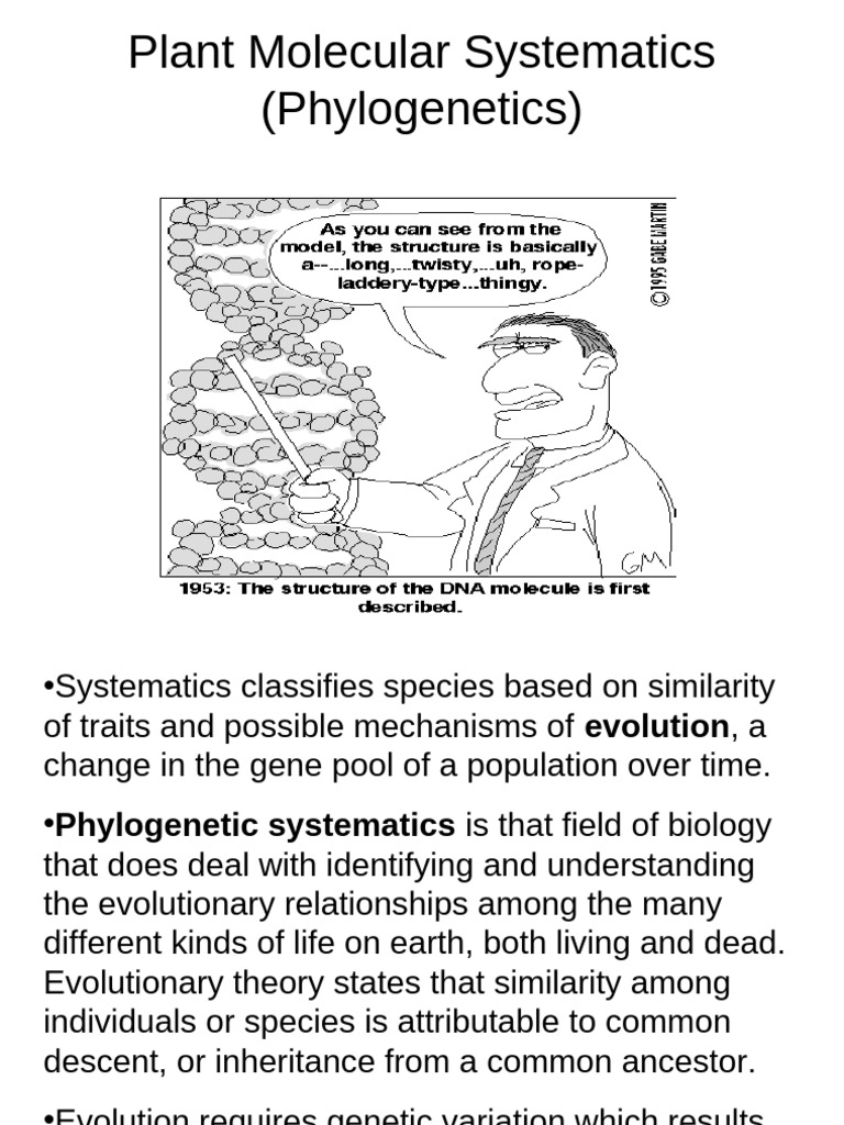 PlantMolecularSystematics Phylogenetics | PDF