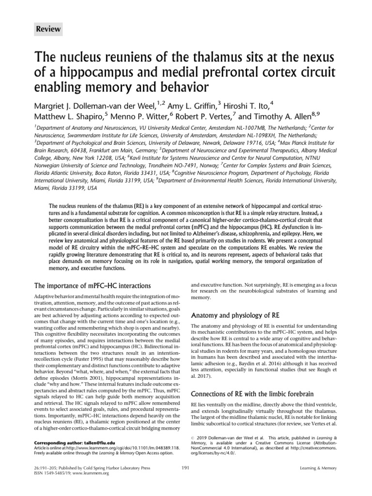Dolleman-Van De-2019-The Nucleus Reuniens of T | PDF | Hippocampus ...