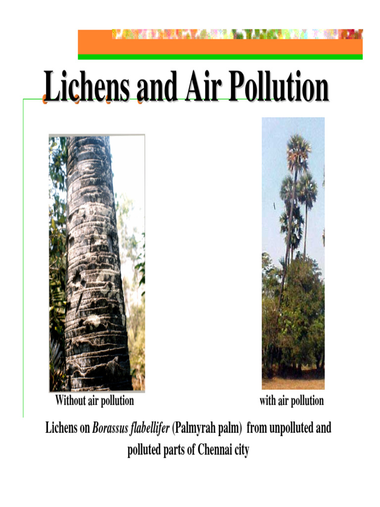 Lichens and Air Pollution | PDF | Natural Environment