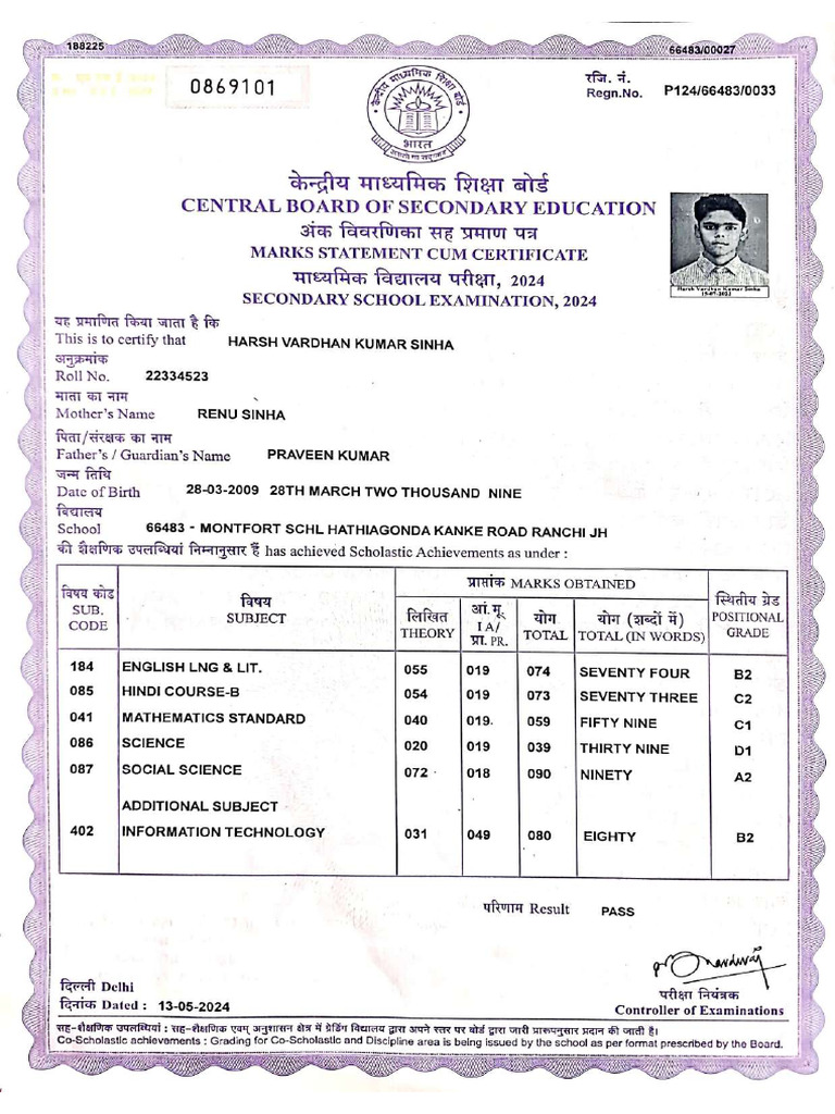 Board Certificate Compressed | PDF