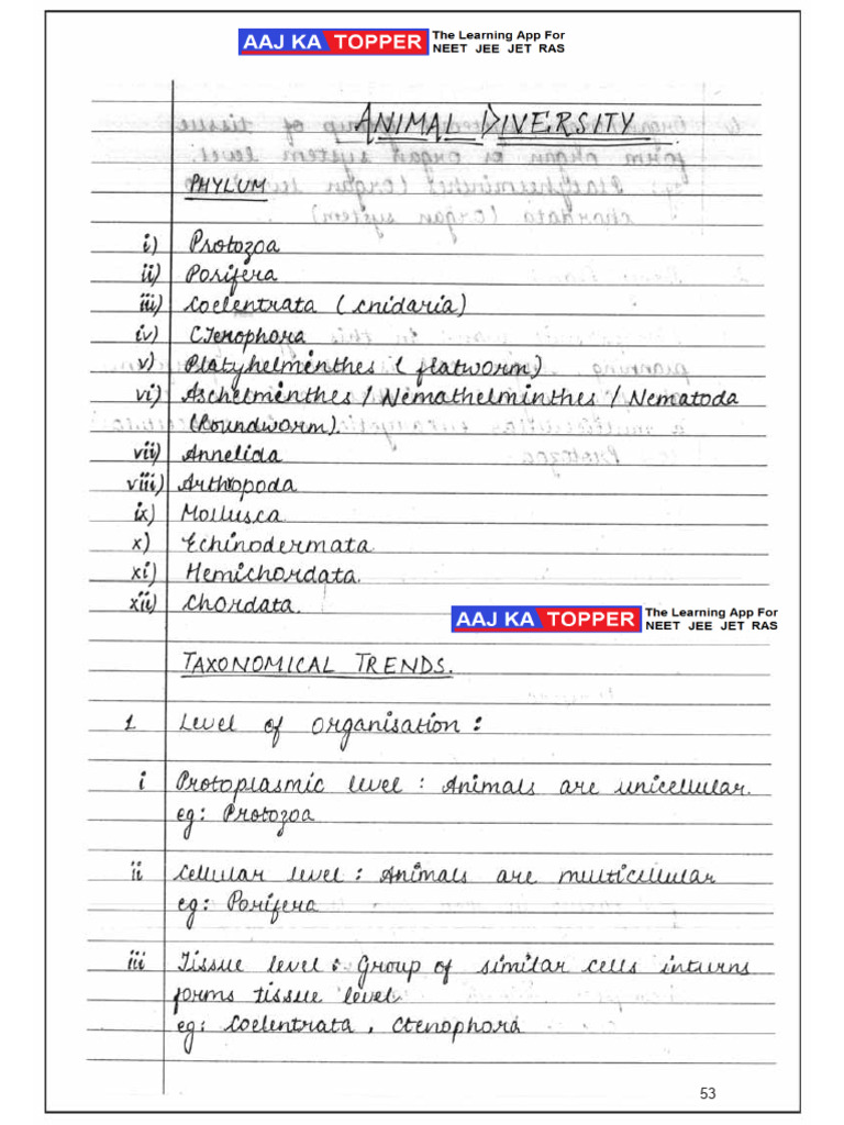 Animal Diversity | PDF