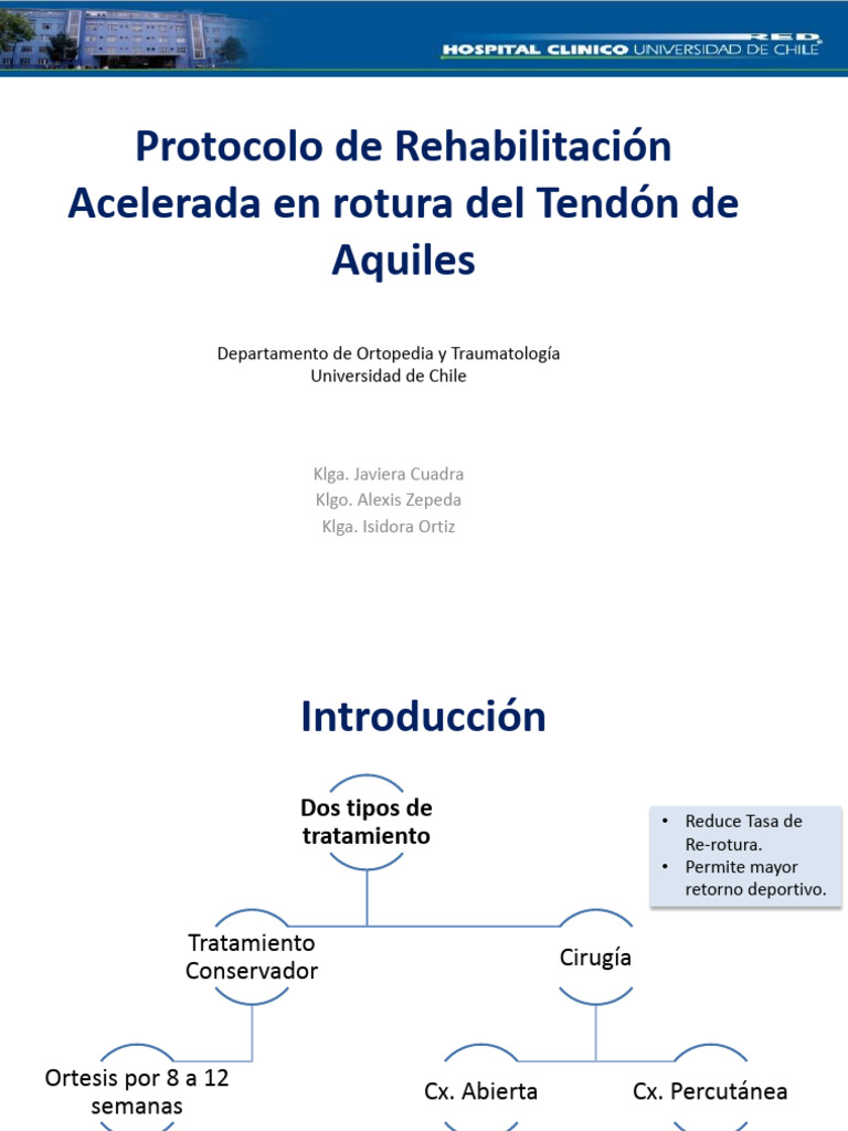 Protocolo de Rehabilitación Acelerada en Rotura Del Tendón. FINAL | PDF | Tendón | Sistema ...