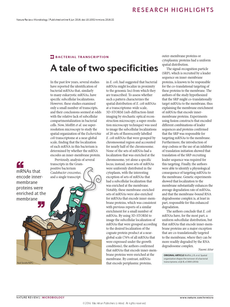 Bacterial Transcription A Tale of Two Specificities | PDF | Messenger ...