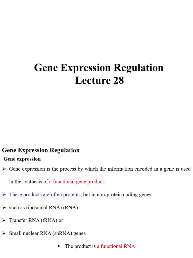 Gene Expression Regulation | PDF | Gene Expression | Rna