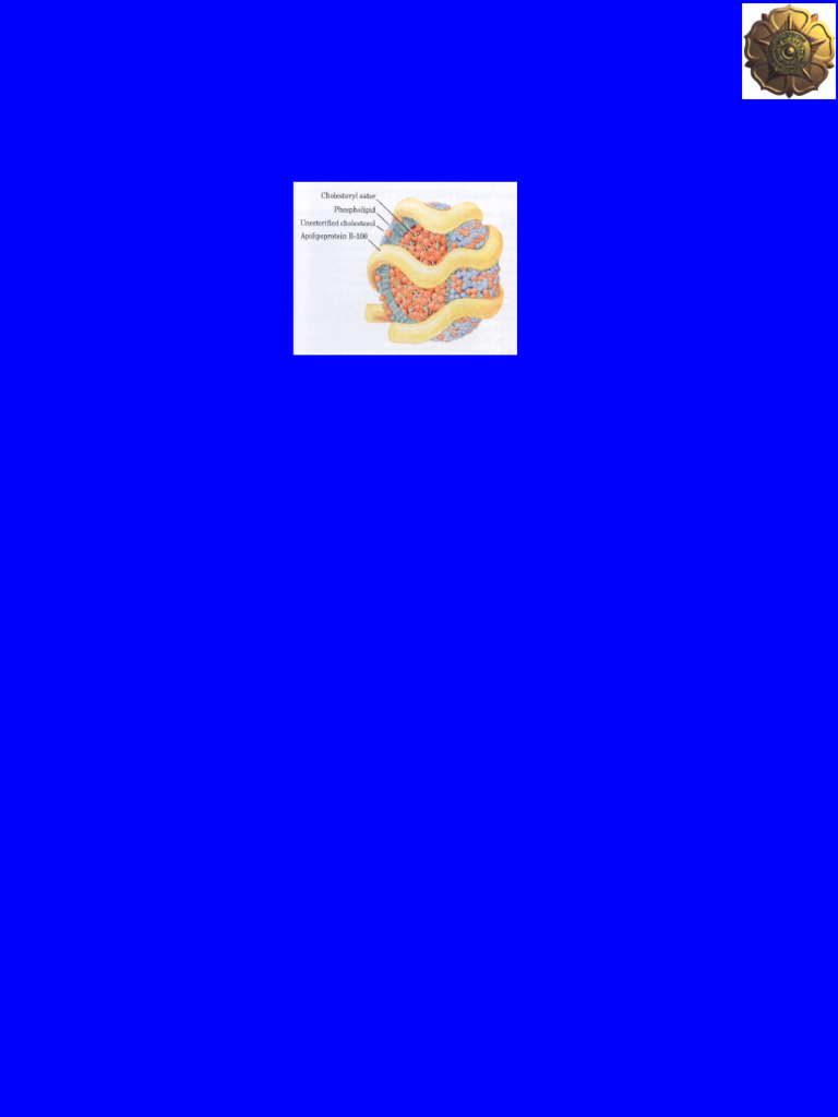 Lecture 10-Lipoprotein Metabolism-Dr. Ahmad Hamim Sadewa, PH.D (2021) | PDF | Lipoprotein | High ...