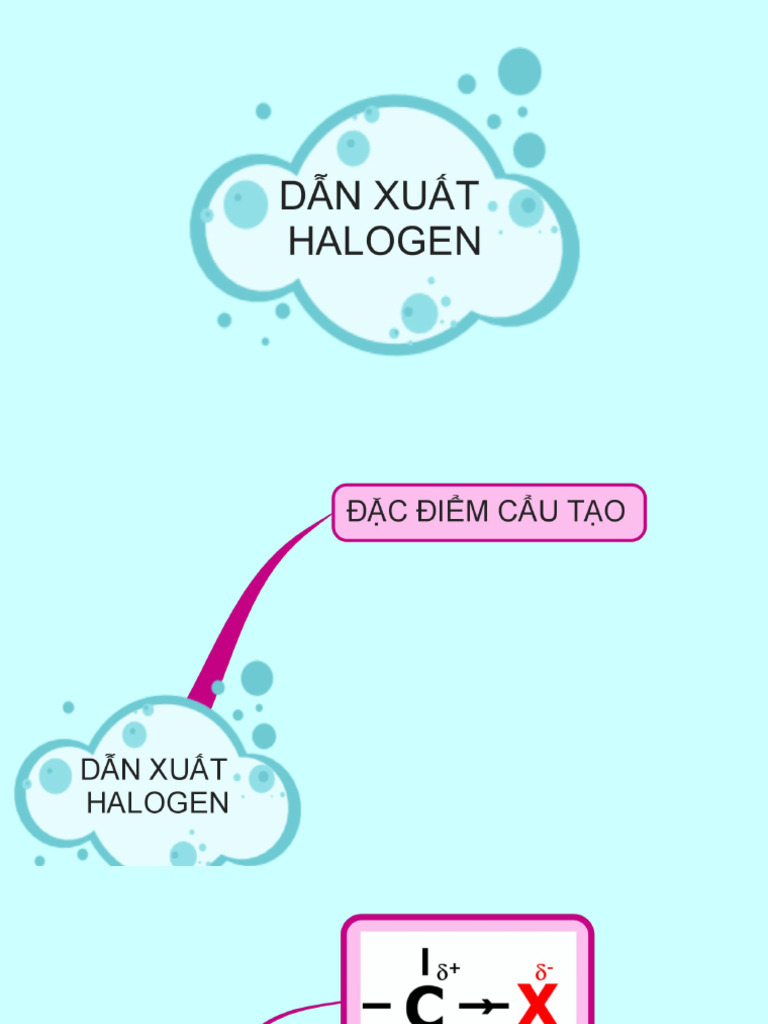 Mindmap Bai 19 - Dan Xuat Halogen - Hoa Hoc 11 KNTT | PDF