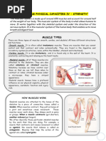 OCR GCSE PE Revision Guide Paper 1 | PDF | Anatomical Terms Of Motion ...
