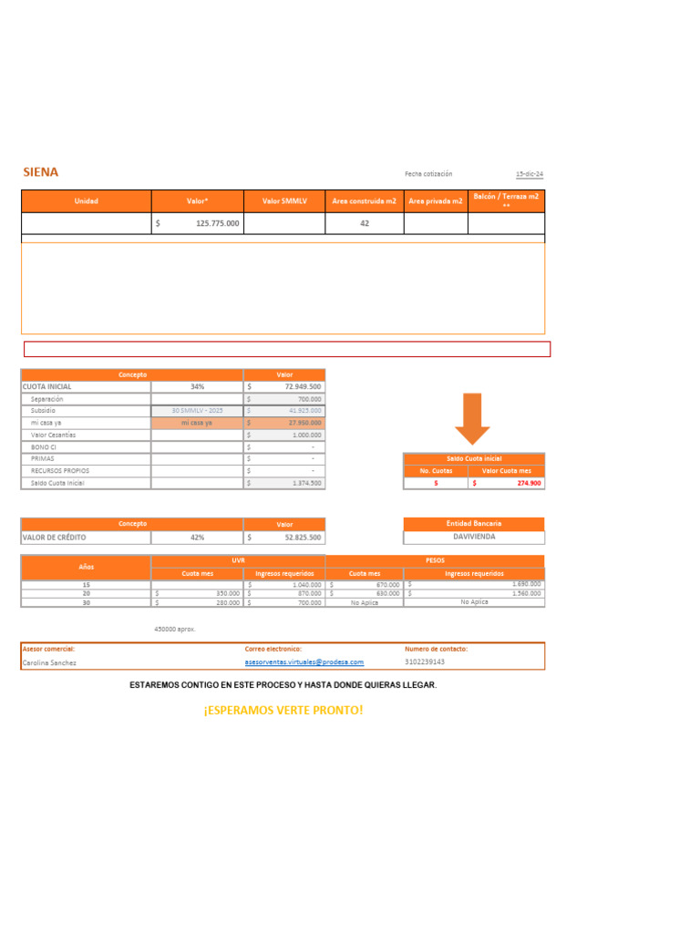 Cotizador v. Virtuales - 2024-12-15T154225.429 | PDF | Economias