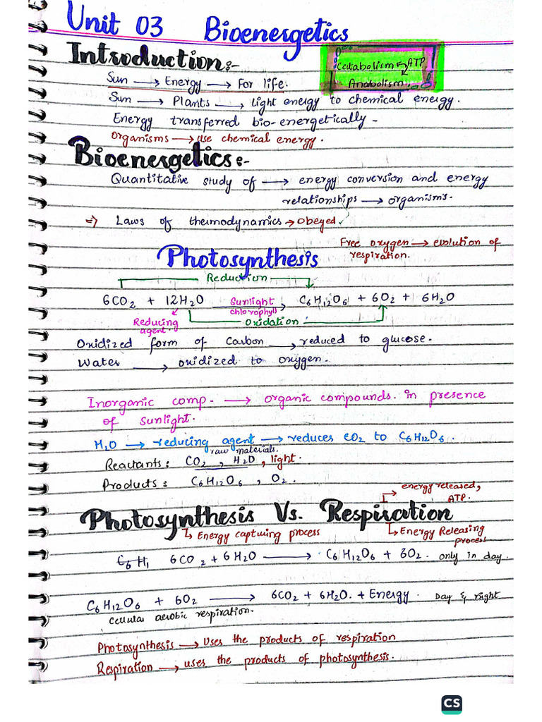 Bioenergetics Notes by Nazish | PDF