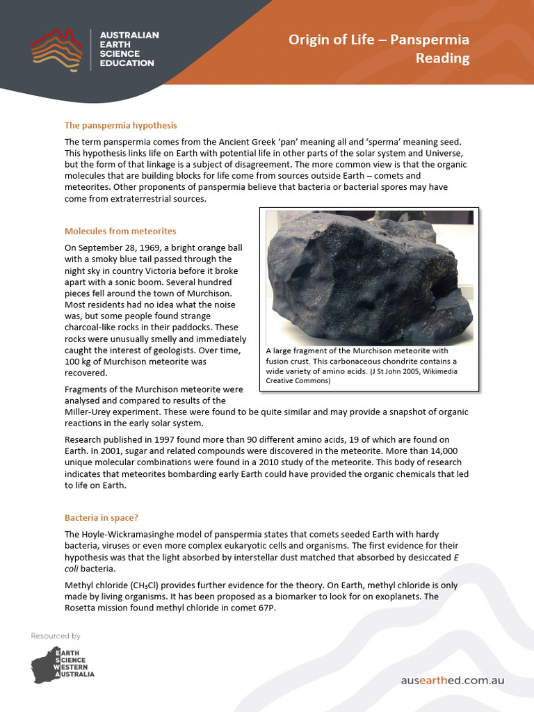 Panspermia: Origins of Life Explained | PDF | Life | Meteorite