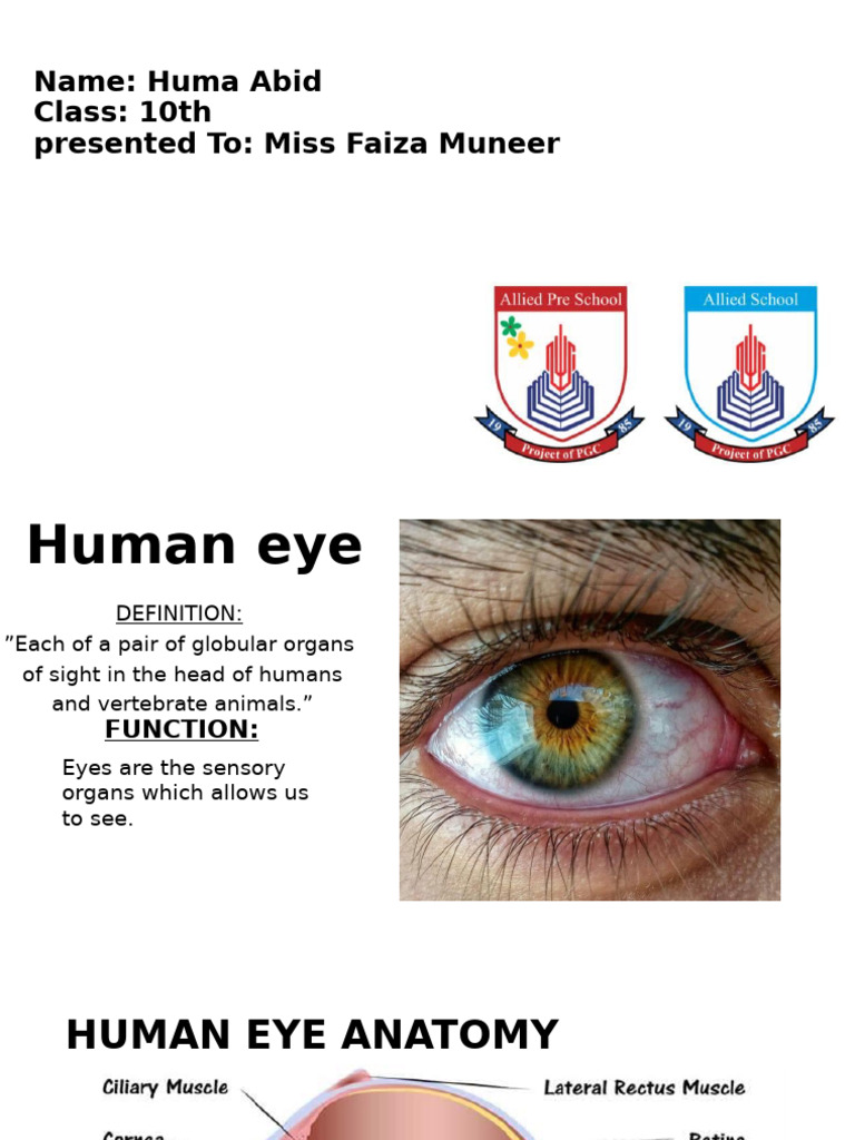 Presentation On Human Eye by Huma Abid | PDF