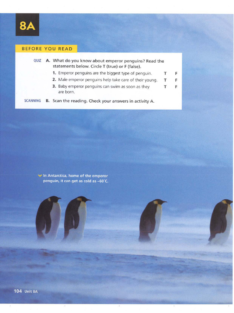 Reading Explorer Foundation SB 105 | PDF