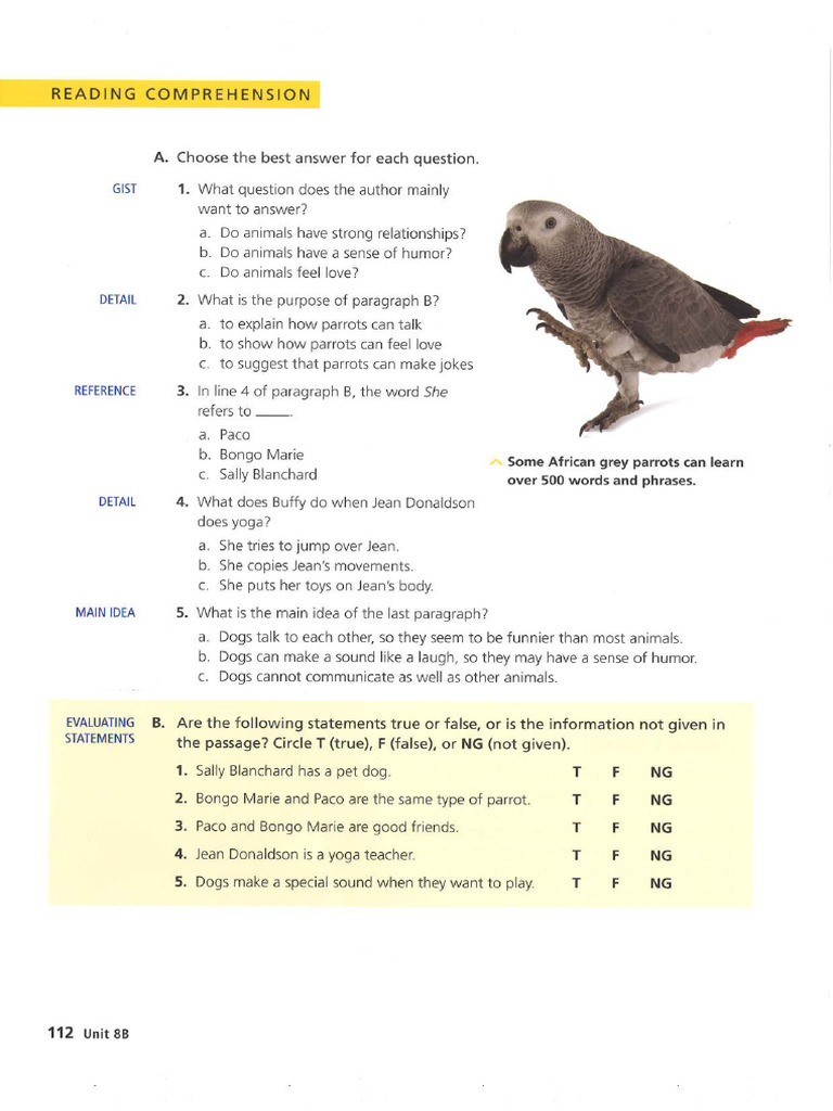 Reading Explorer Foundation SB 113 | PDF