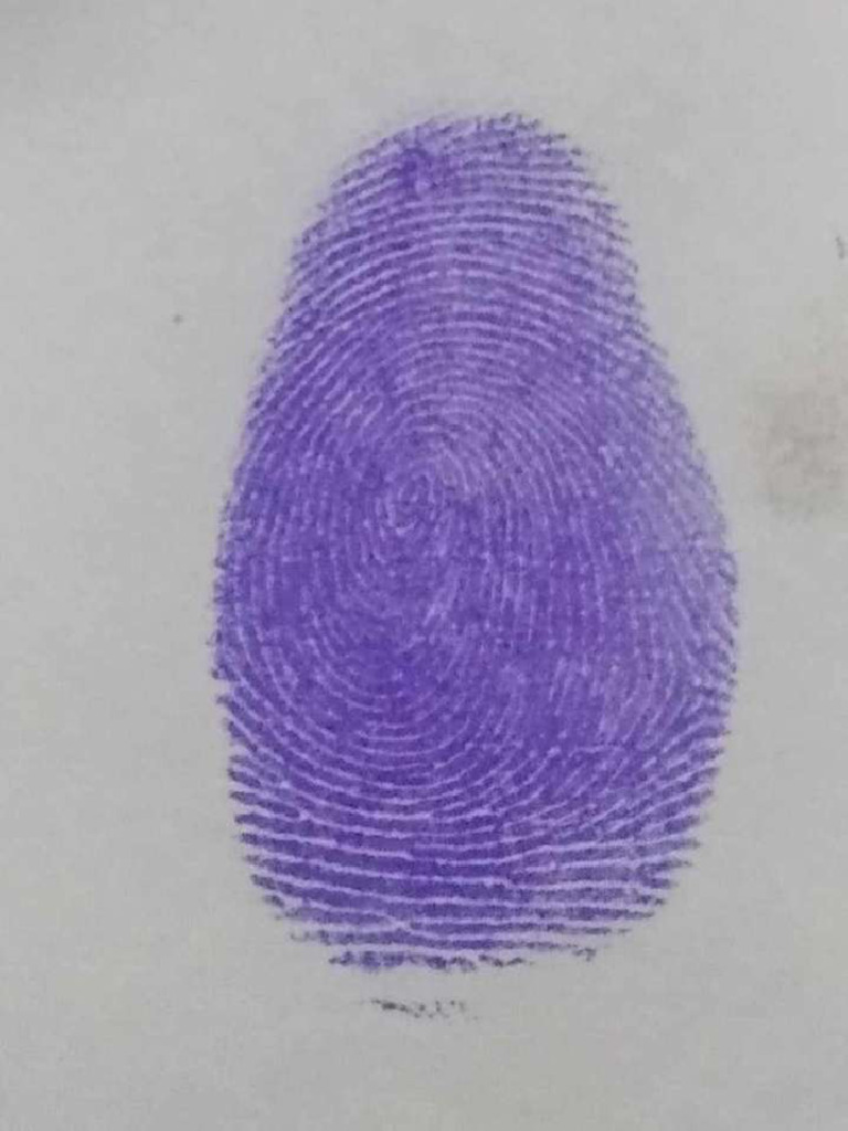 Pi7_tool_PDF (1) | PDF