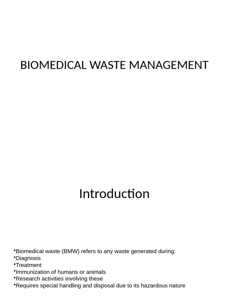 BMW Management | PDF