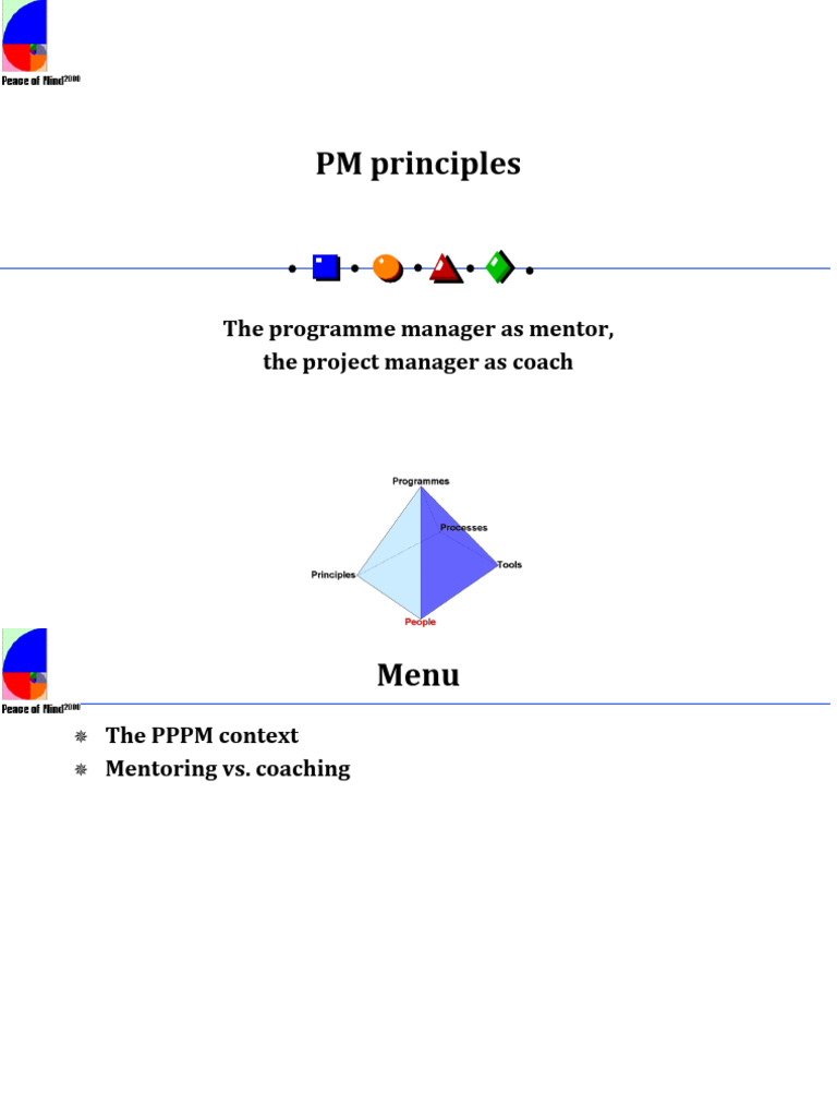 PMH Mentor and Coach 080508 | PDF | Mentorship | Expert