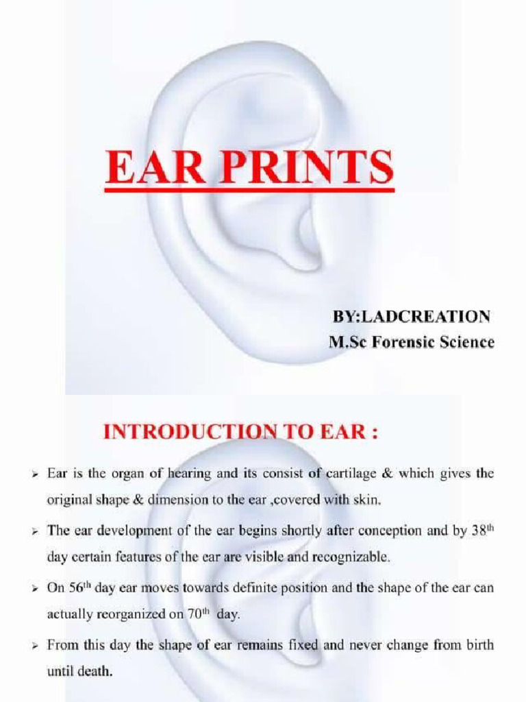 Ear Print | PDF