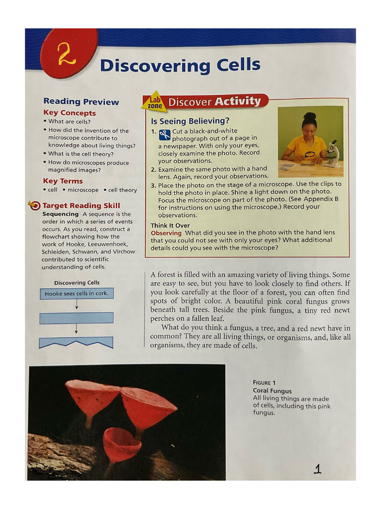 Chapter 2 Discovering Cells and Cell Structure | PDF