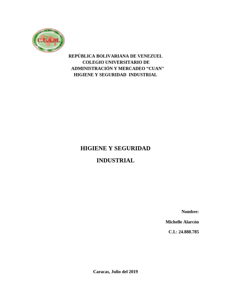 Higiene y Seguridad Industrial-Michelle Alarcon-2019 | PDF | Seguridad ...