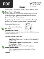 Tissues Class 9 Notes With Flashcards | PDF | Tissue (Biology) | Epithelium
