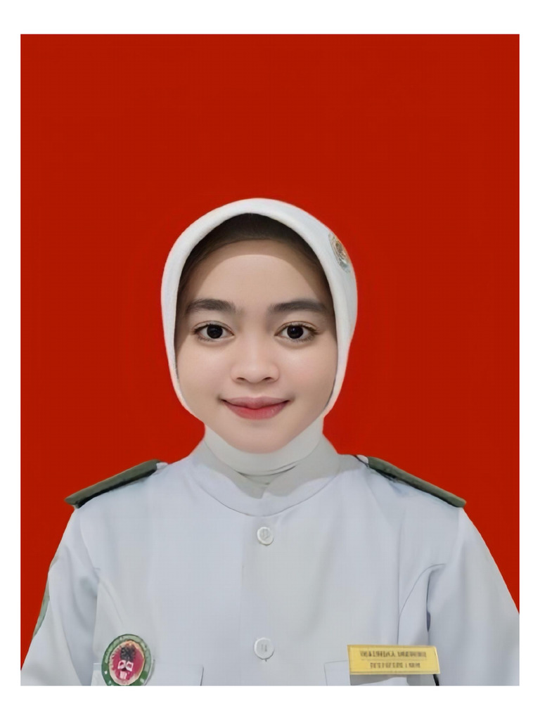 Sriwani Andriani | PDF