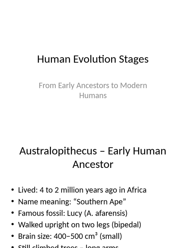 Key Stages of Human Evolution | PDF