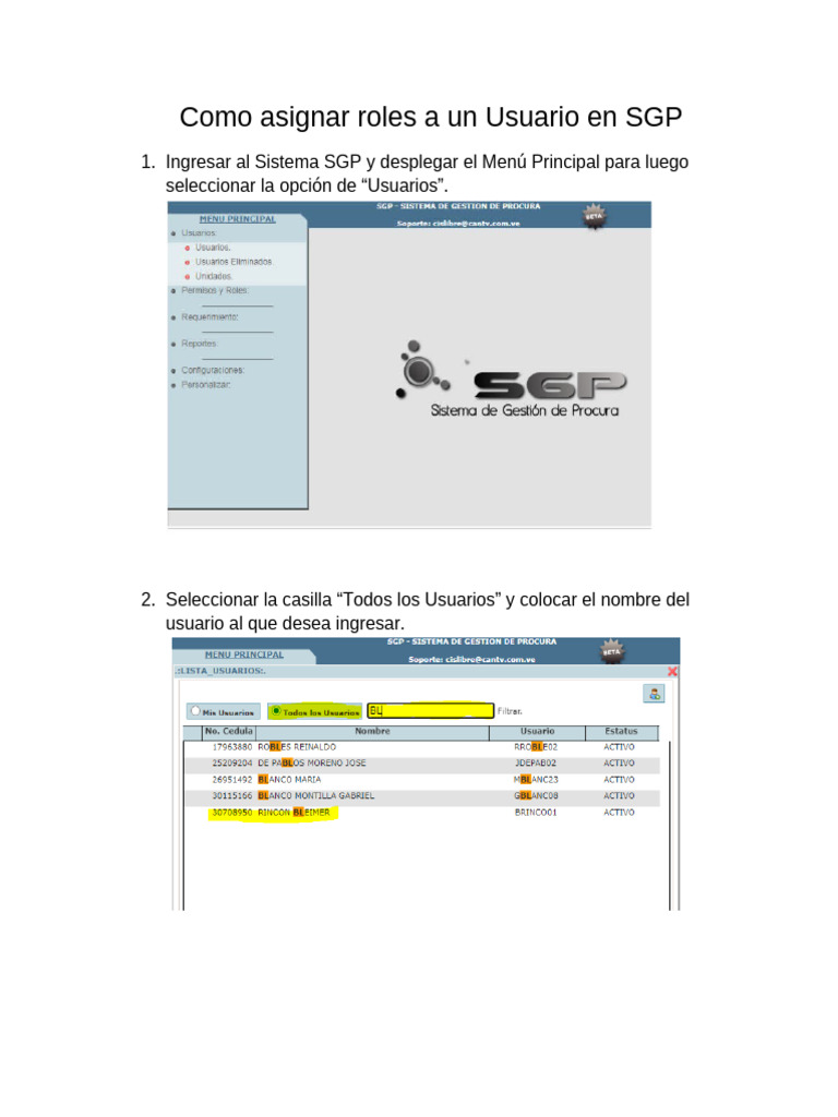 Como Asignar Roles A Un Usuario en SGP | PDF