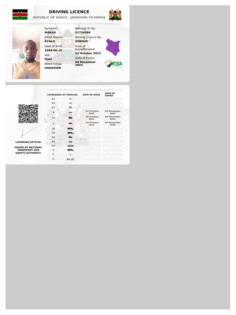 DLR W8AUO5AJB Electronic Driving License | PDF