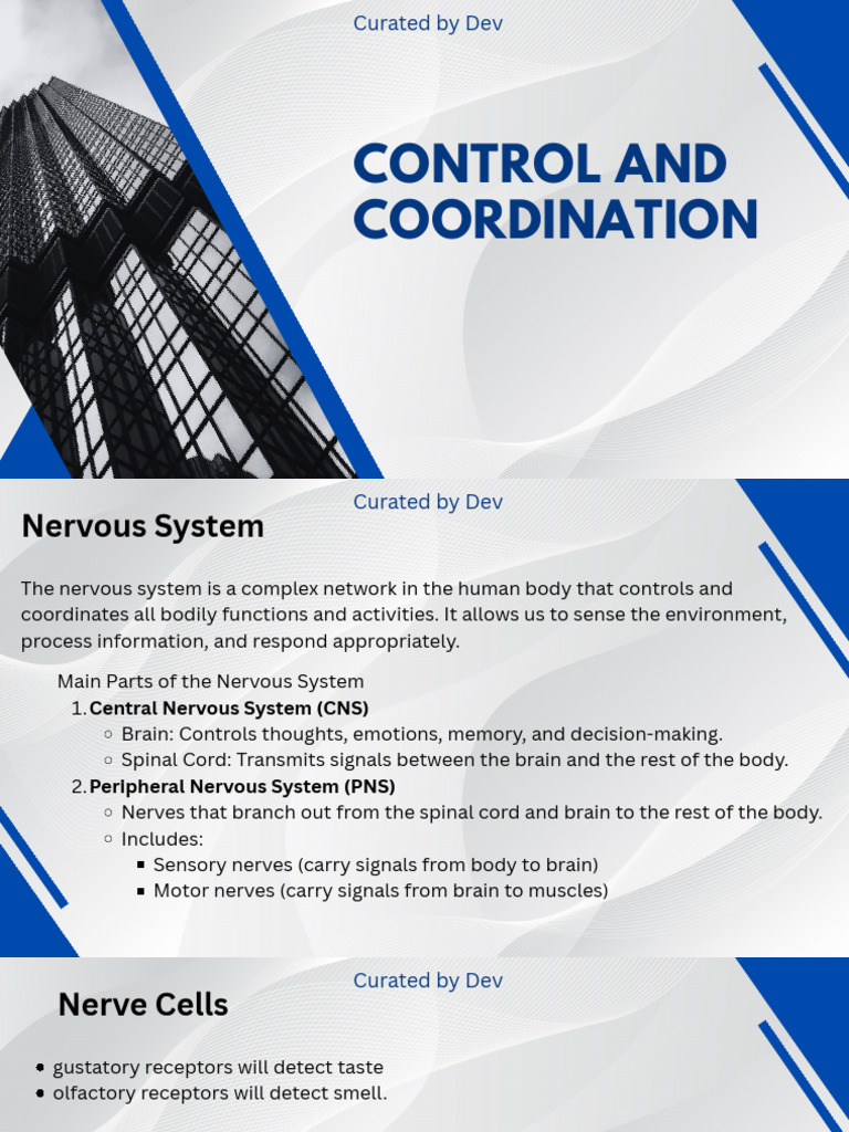 Control and Coordination PPT in Class | PDF | Nervous System | Central ...