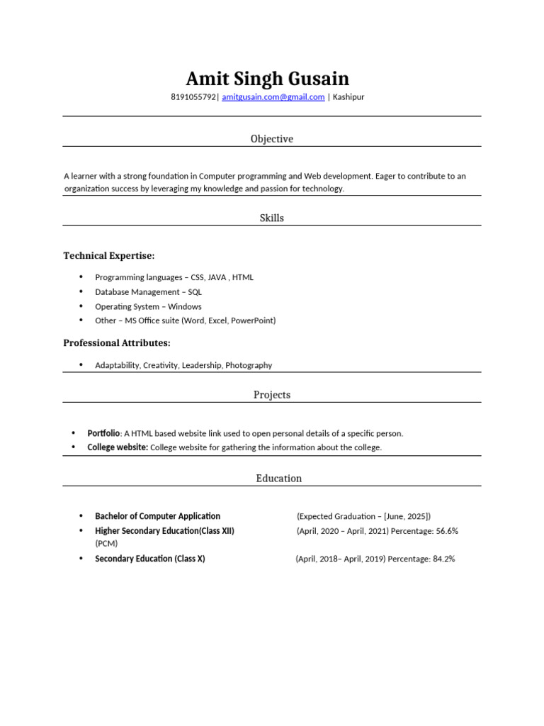 Resume Amit | PDF