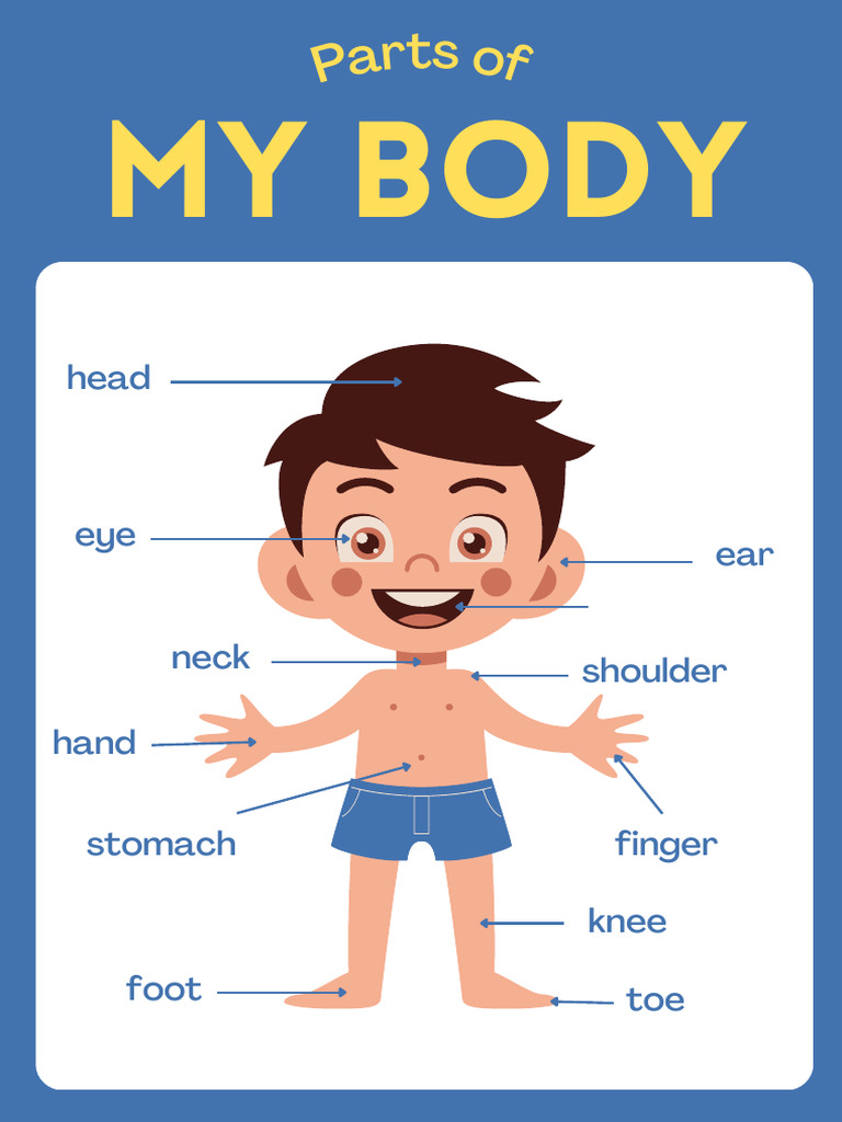 Parts of My Body Poster | PDF