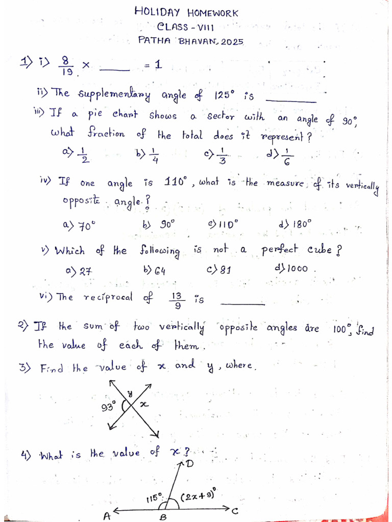 Holiday Homework For Class VIII | PDF