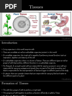 Tissues Class 9 Notes | PDF | Epithelium | Tissue (Biology)
