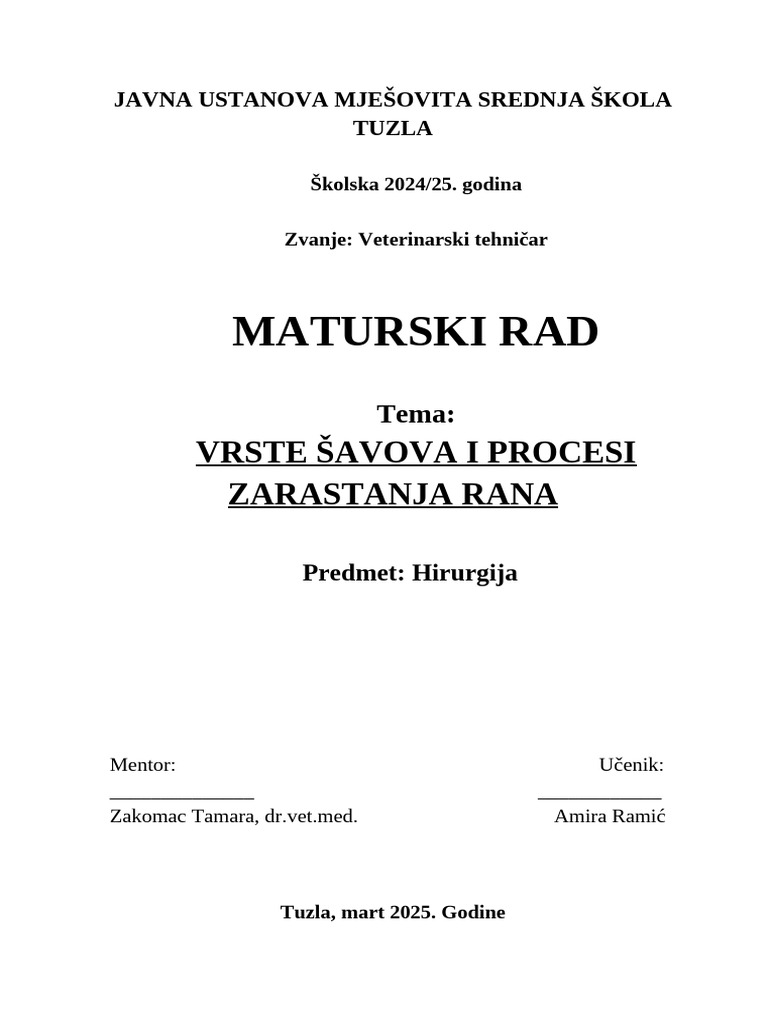 Maturski Rad | PDF