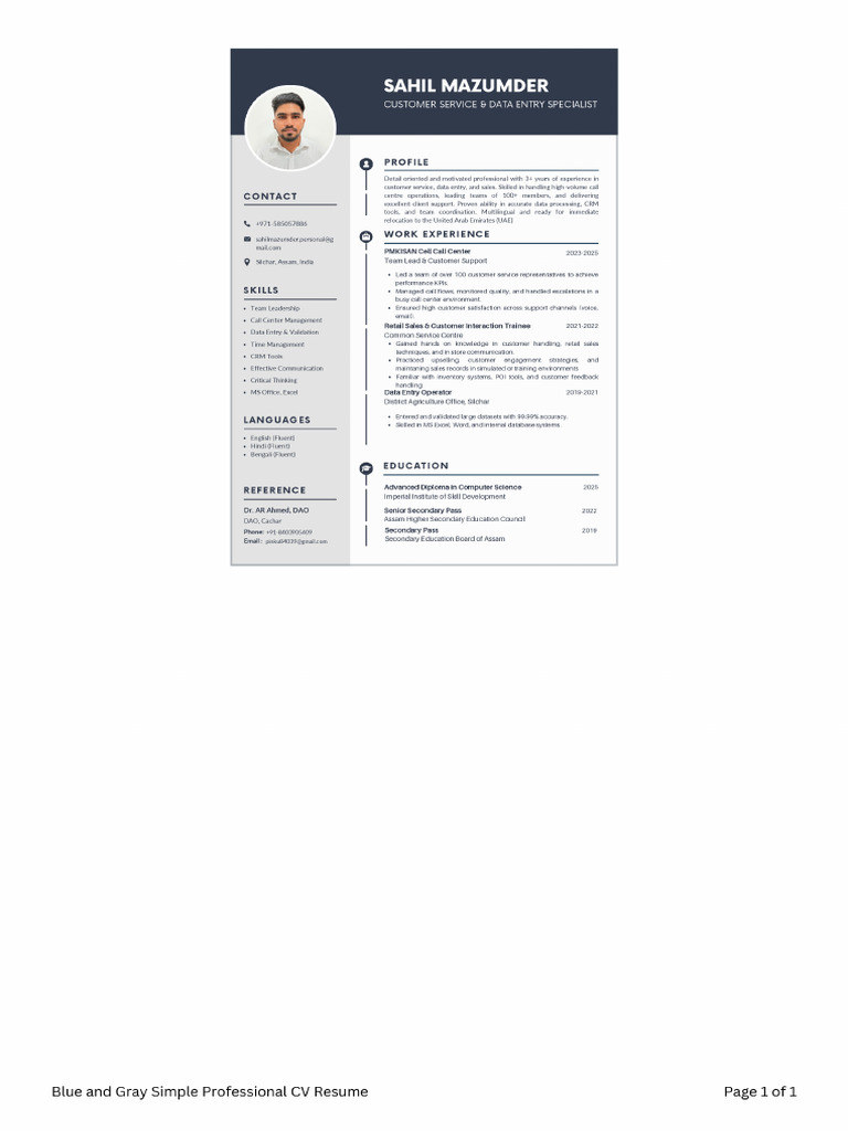 Blue and Gray Simple Professional CV Resume | PDF